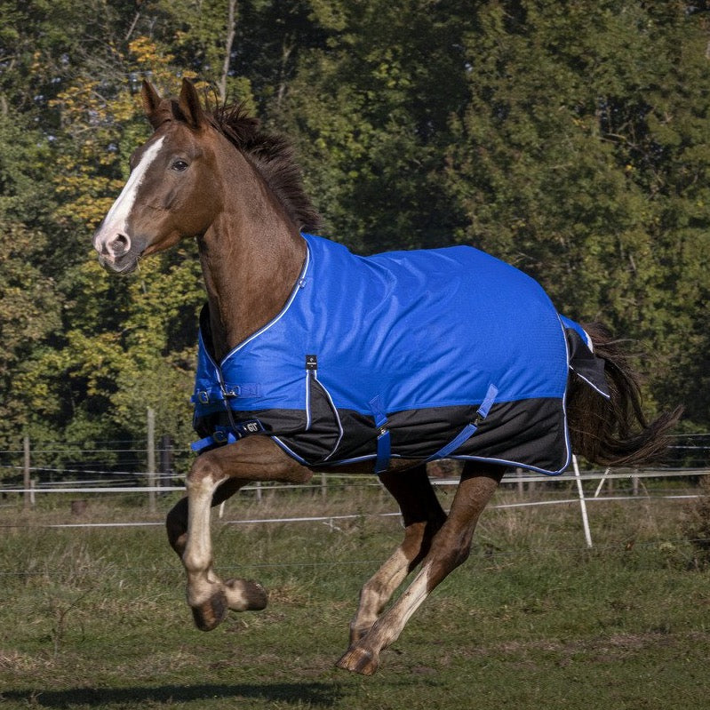 EQUITHÈME AISANCE TYREX 1200D - 50g horse blanket for autumn and winter