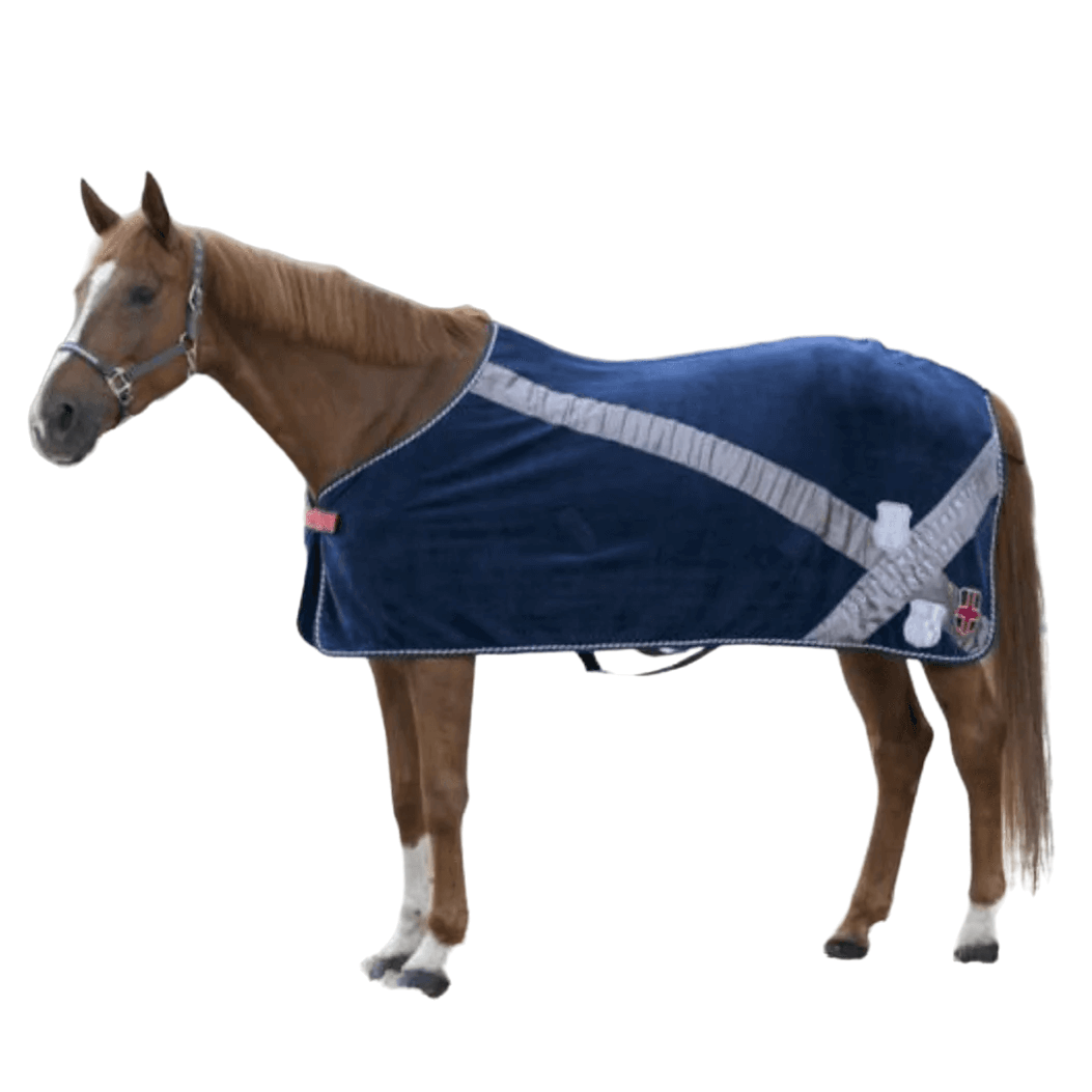 Cheap & effective: The best sweat rugs for horses!!